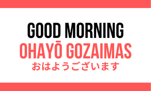 60+ Useful Japanese Phrases For Tourists | The Navigatio