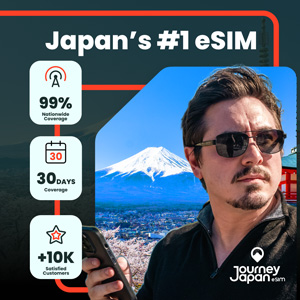 Osaka Vs Kyoto: Where Should You Stay? | The Navigatio